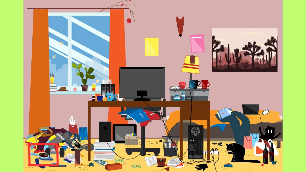 Picture Puzzle: Find the Hair Brush in the Cluttered Room in 9 Seconds